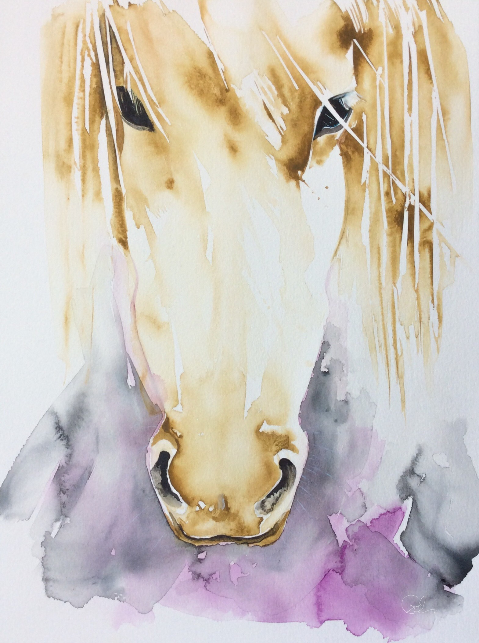 Goldie – Robert Czibi